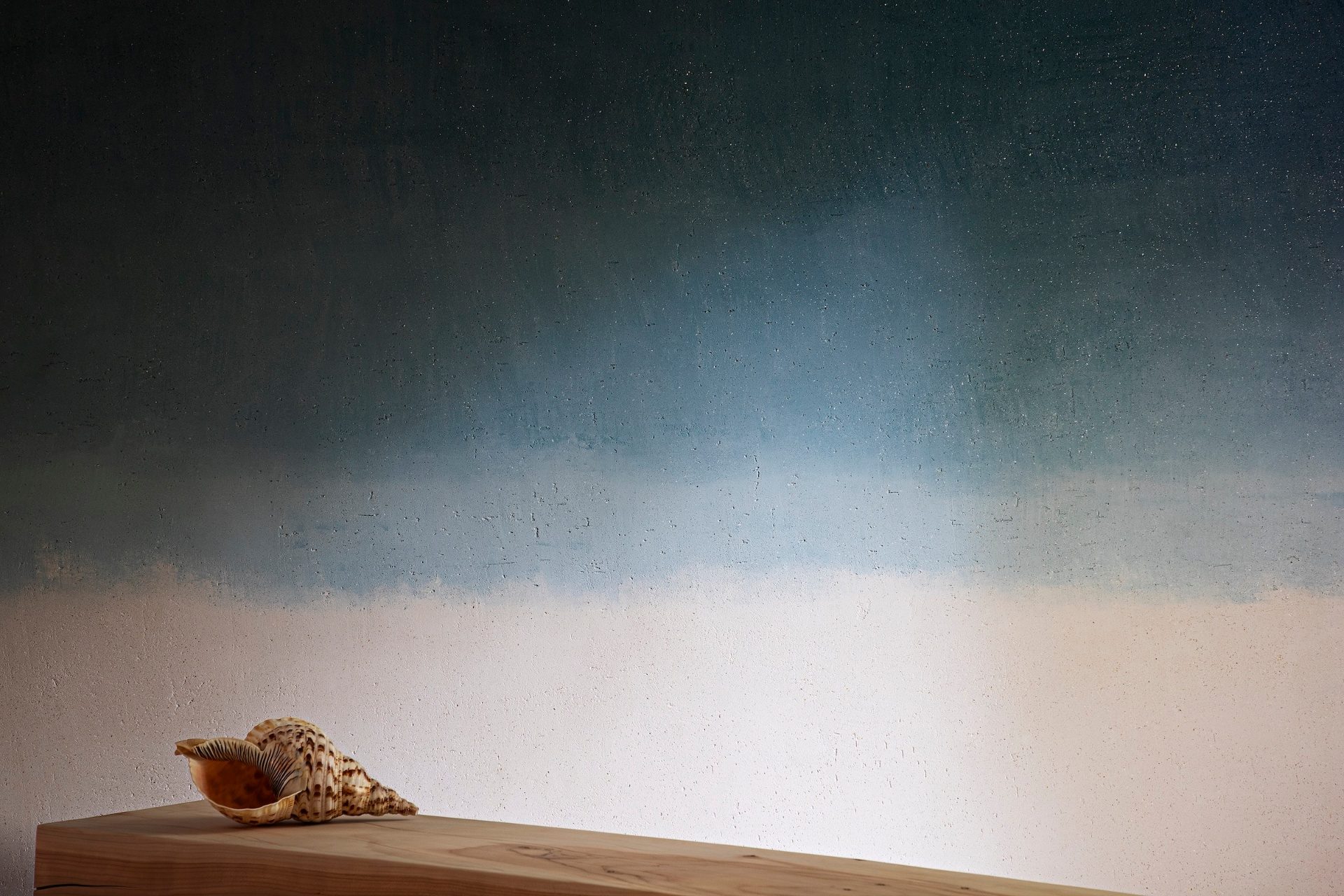 Premium Surface Products — Mineral Plasters, Microcement & Coatings ...
